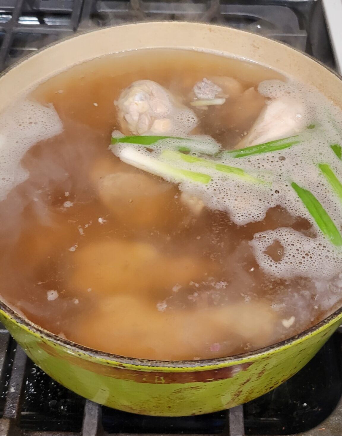 Homemade Chicken Stock – Shin & Ellie's website